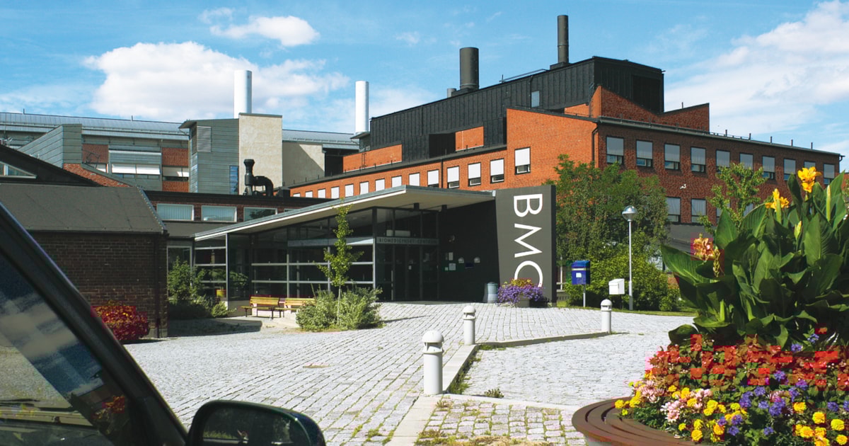 BMC, Building A, Wallenberg Neurocentrum | Akademiska Hus