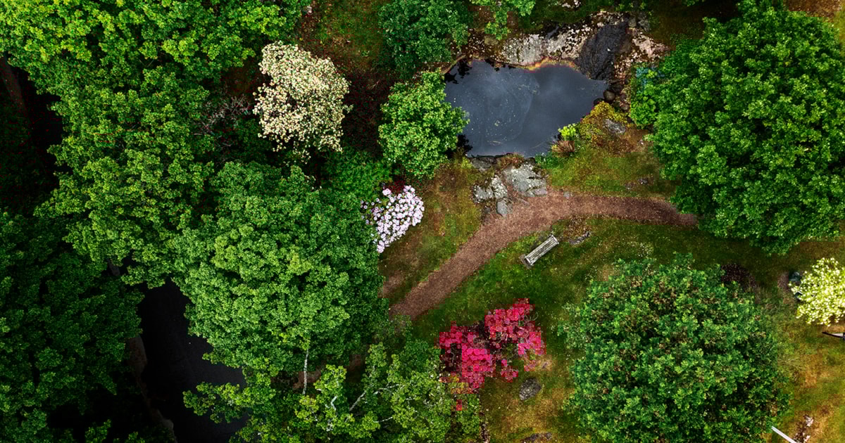 Reuse park | Akademiska Hus